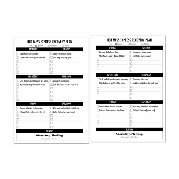 Hot Mess Express Cleaning Schedule – Snarky Cleaning Planner Insert ...